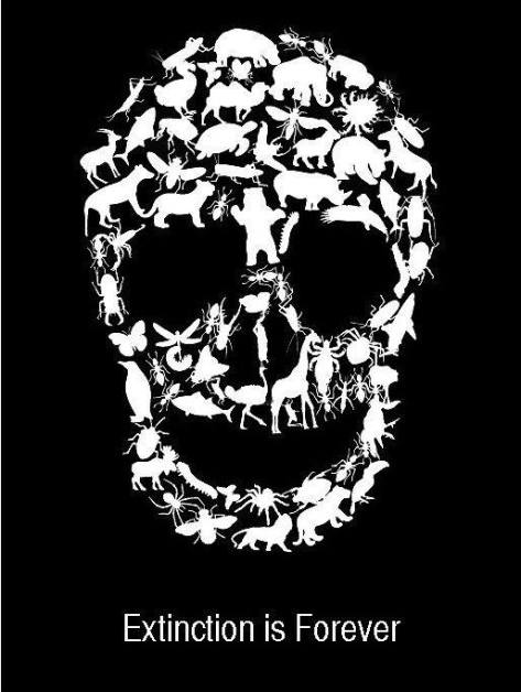 Hunting is NOT Conservation | END Trophy Hunting NOW