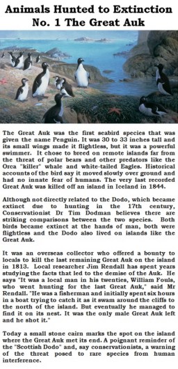 END Trophy Hunting NOW | Before it's too late….