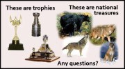 END Trophy Hunting NOW | Before it's too late….