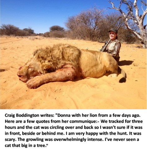 Lion Farming and Canned Lion Hunting | END Trophy Hunting NOW