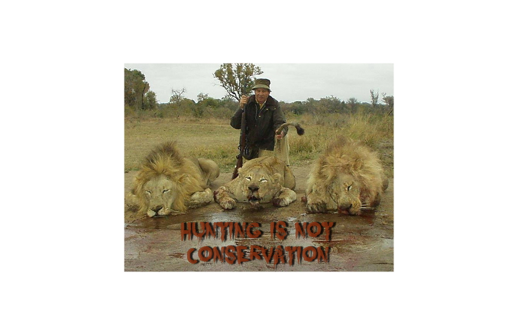 Animal Abuses | END Trophy Hunting NOW