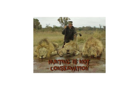 END Trophy Hunting NOW | Before it's too late….