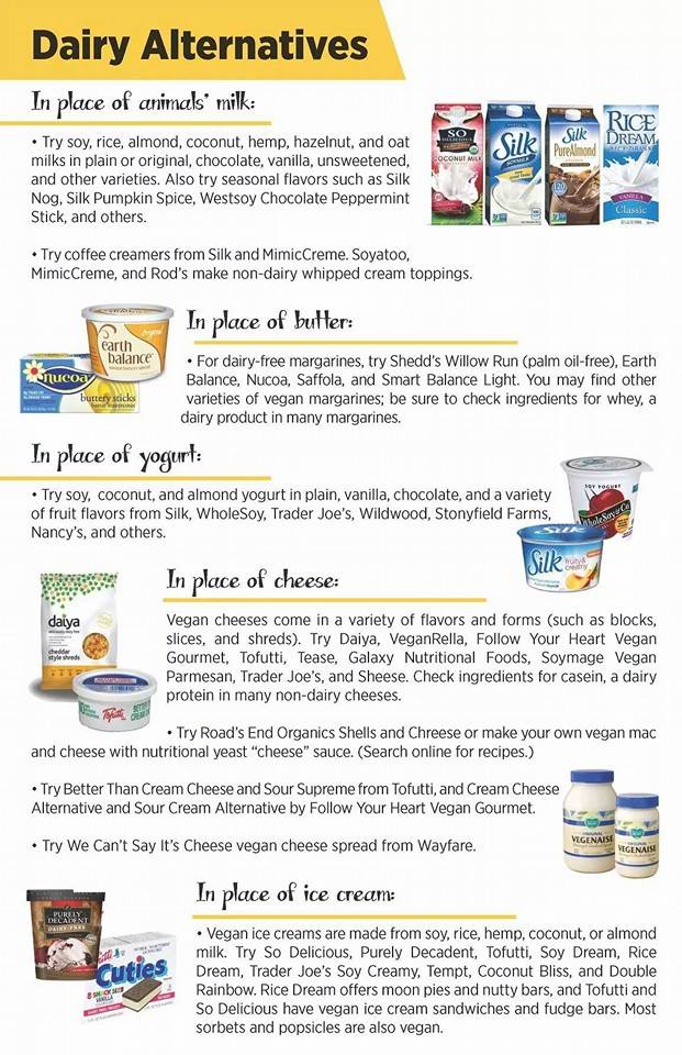 Factory farming – dairy soy alternatives | END Trophy Hunting NOW