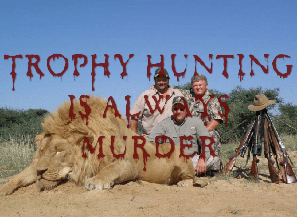 Barbaric Practices of Recreational Hunting | END Trophy Hunting NOW