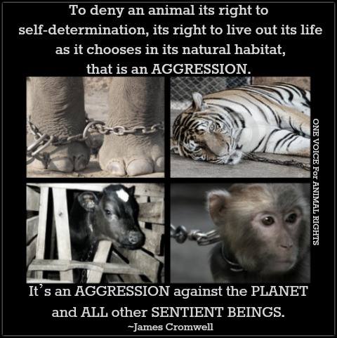 Zoo and Circus Meme Gallery | END Trophy Hunting NOW