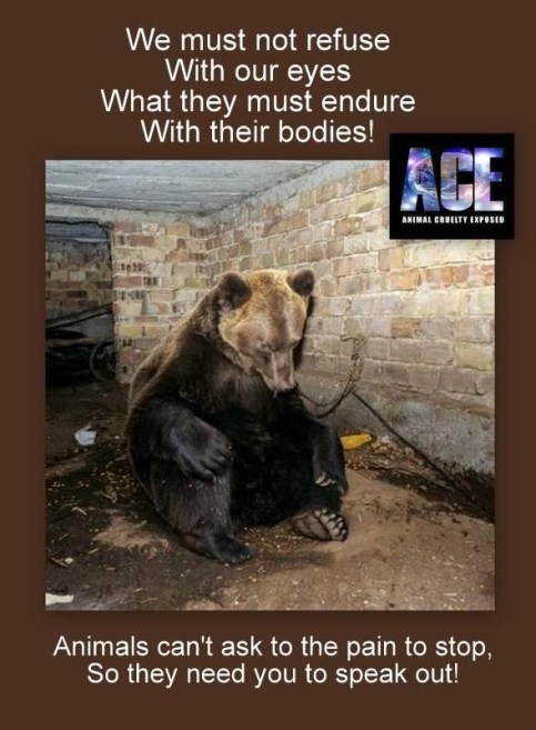Zoo and Circus Meme Gallery | END Trophy Hunting NOW